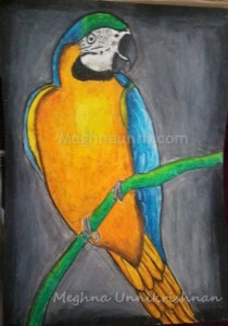 Macaw Bird Painting by Meghna – Meghnaunni.com