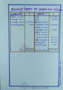Accountancy CBSE Class 11 Final Project Sample – Meghnaunni.com