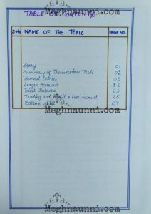 Accountancy CBSE Class 11 Final Project Sample – Meghnaunni.com