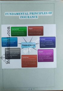 Financial Markets Management (FMM) CBSE Class 11 Project on Insurance ...