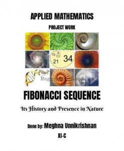 CBSE Class 11 Applied Mathematics Project : FIBONACCI SEQUENCE ...