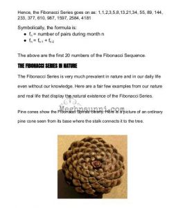 CBSE Class 11 Applied Mathematics Project : FIBONACCI SEQUENCE ...