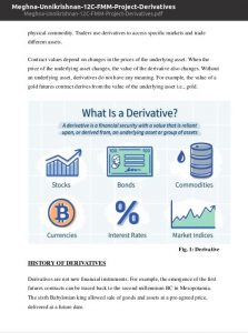 CBSE Class 12 Financial Markets Management (FMM) Project on DERIVATIVES ...