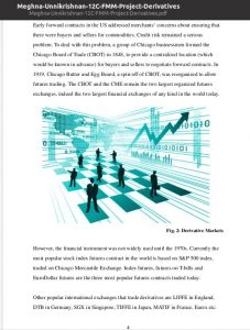 CBSE Class 12 Financial Markets Management (FMM) Project on DERIVATIVES ...