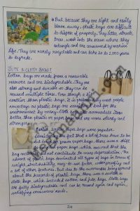CBSE Class 12 Business Studies Project | CHANGES IN PACKAGING OF ...