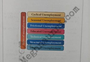 CBSE Class 12 Economics Project | Contemporary Employment Situation in ...