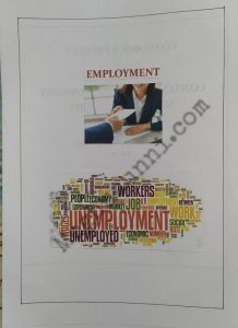 CBSE Class 12 Economics Project | Contemporary Employment Situation in ...